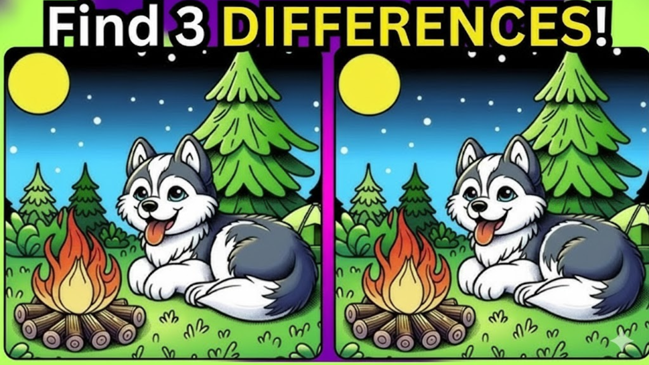 Find the Differences” Challenge: How Spot-the-Difference Puzzles ...