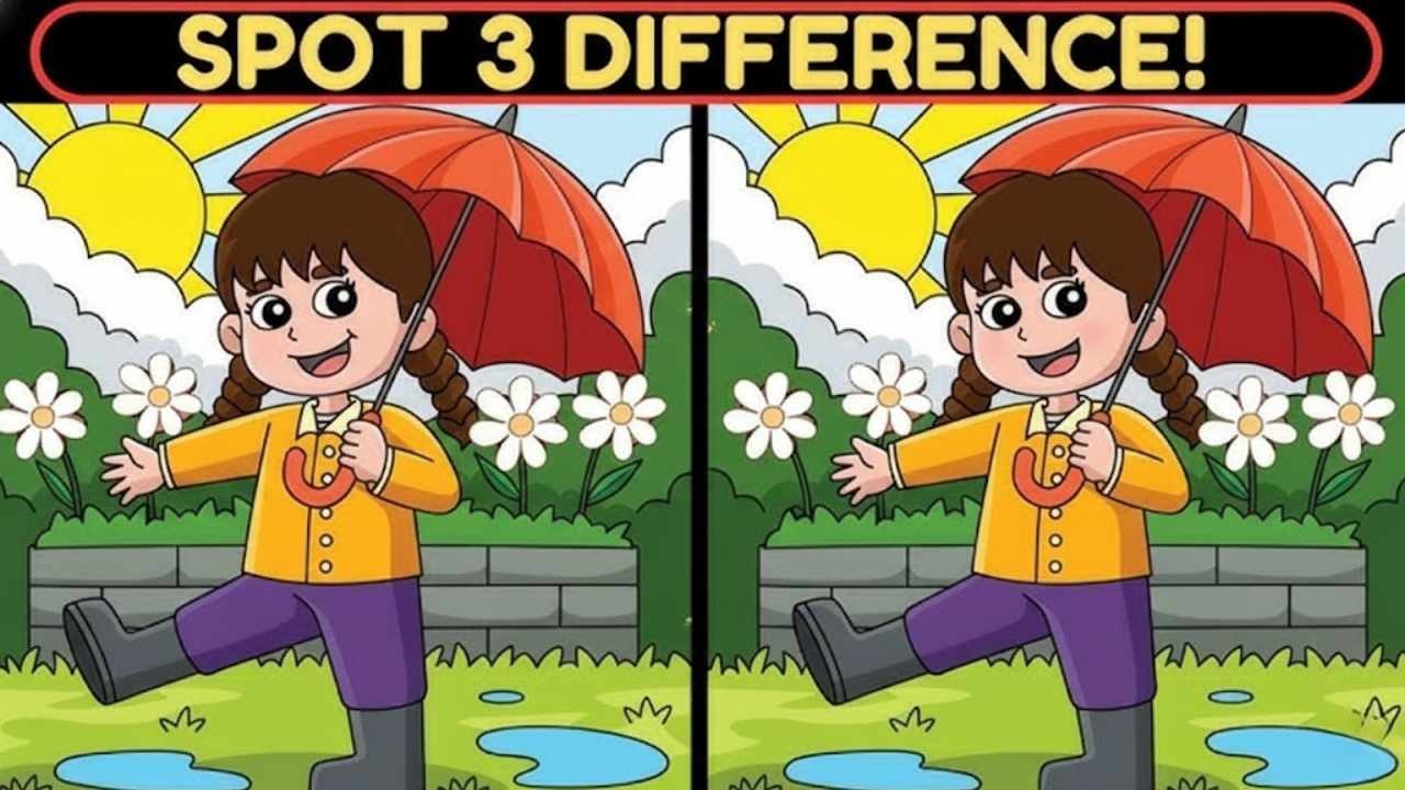 Spot the Difference Puzzle: A Fun Way to Sharpen Focus and Observation ...