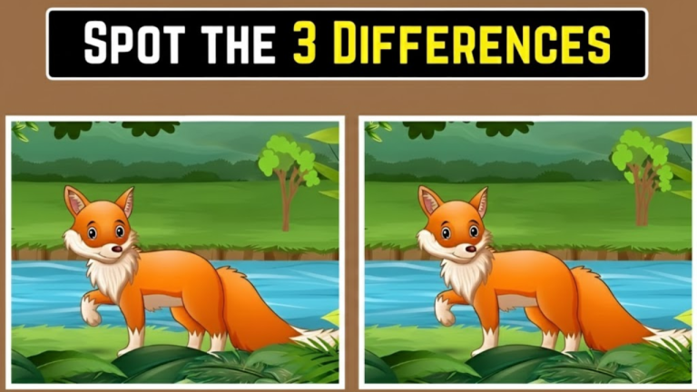 Spot the Difference Game: Can You Find the 3 Hidden Differences in This ...